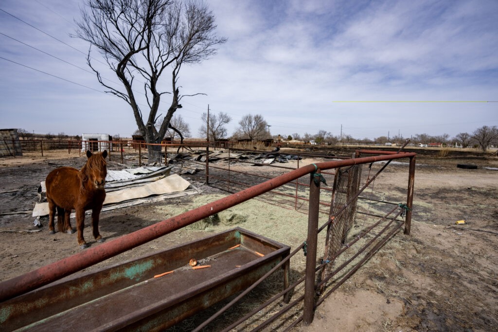 Inside the fire line: Images from the Smokehouse Creek fire – the ...