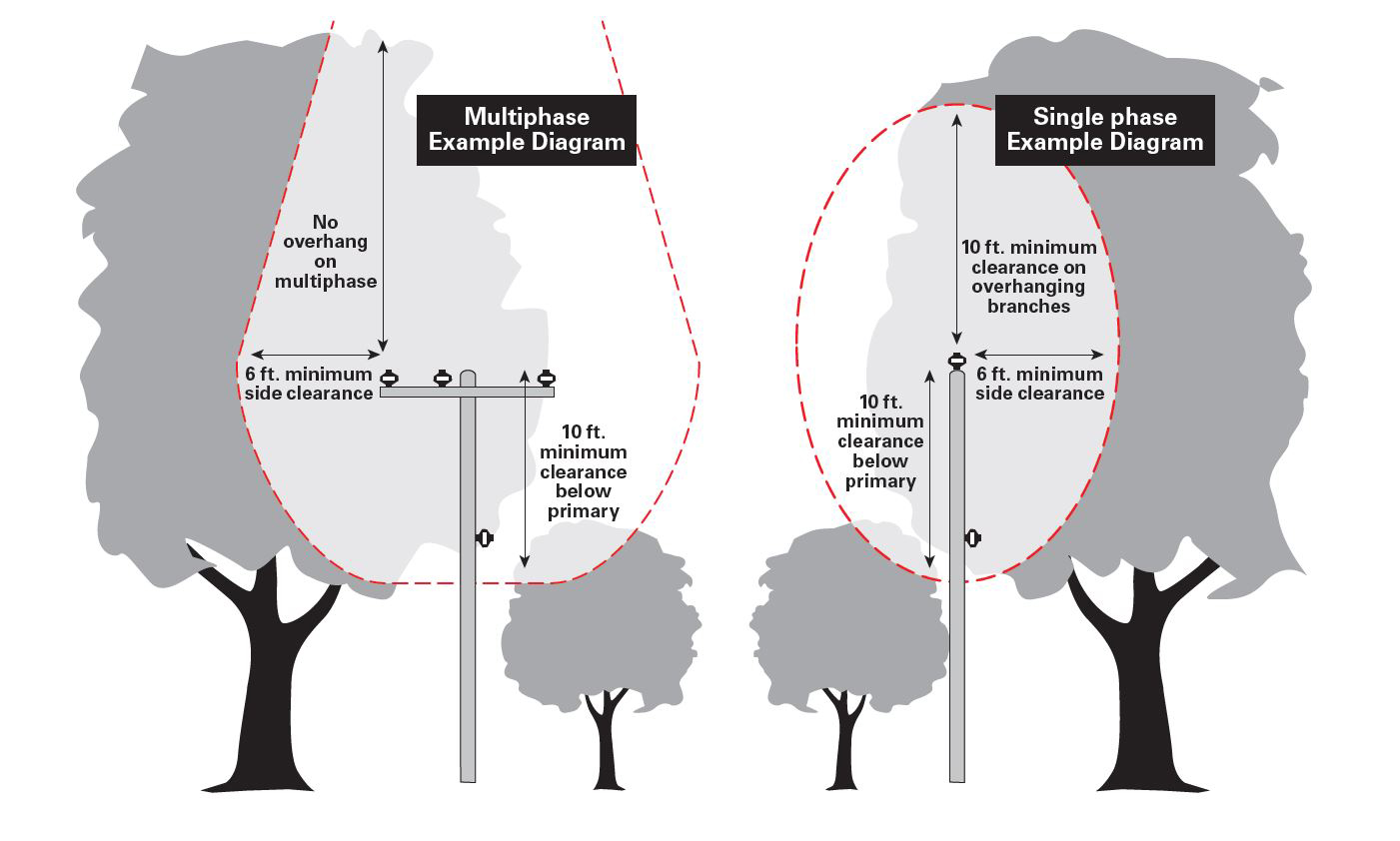 Xcel Energy’s tree trimming efforts prevent outages | The Canadian Record