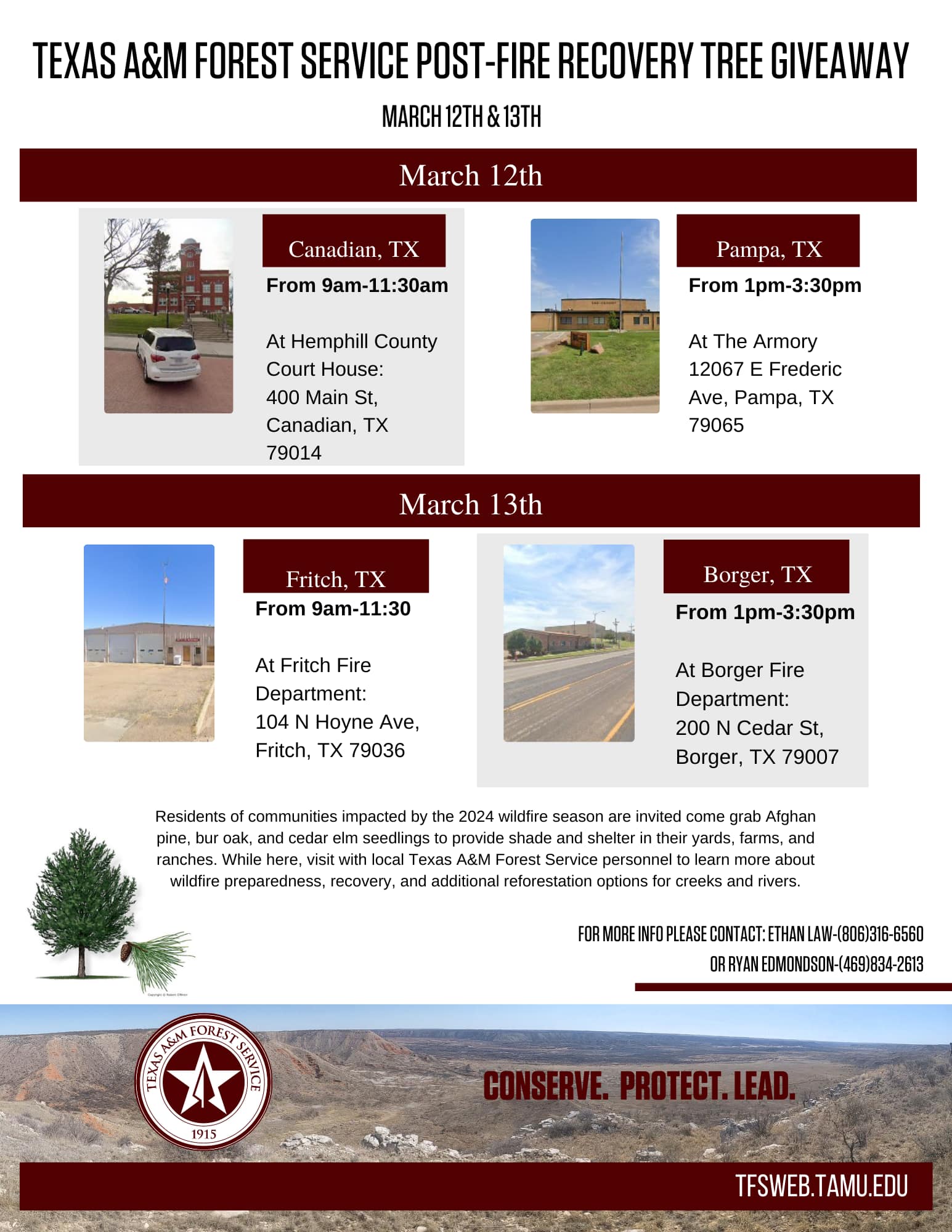 Texas A&M Forest Service announces tree giveaway for wildfire recovery ...